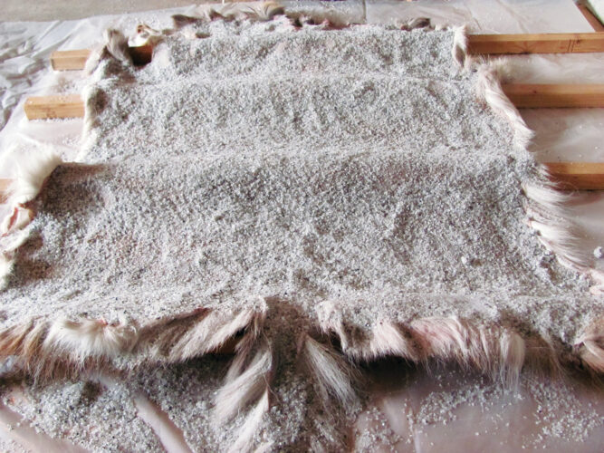 How to Tan a Deer Hide at Home – Mother Earth News